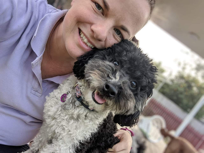 Oodles Of Paws · Oodles of Paws